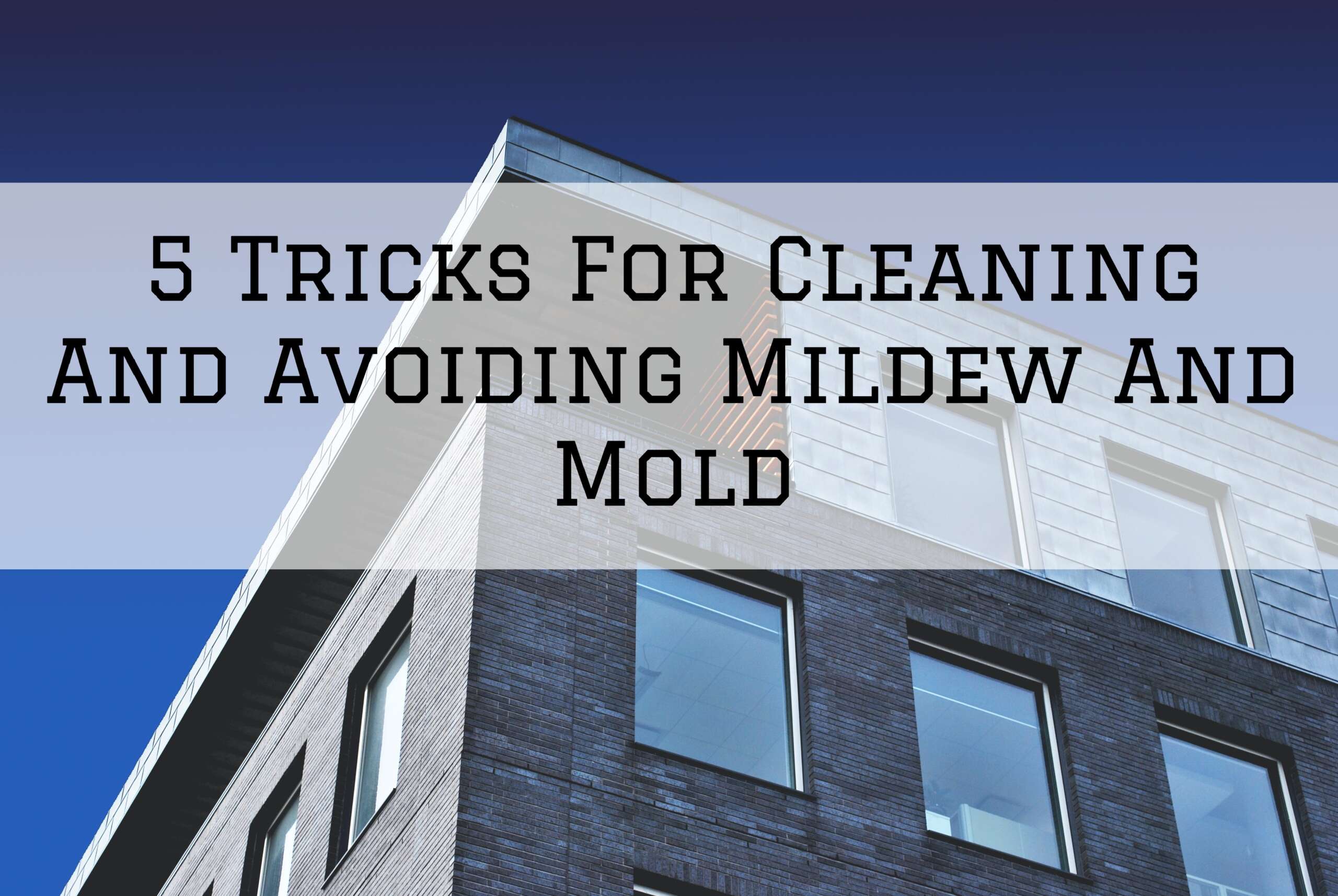 5 Tricks For Cleaning And Avoiding Mildew And Mold in McLean, VA
